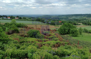 Prodajem Građevinsko Zemljište, Sremski Karlovci, Novi Sad Okolica