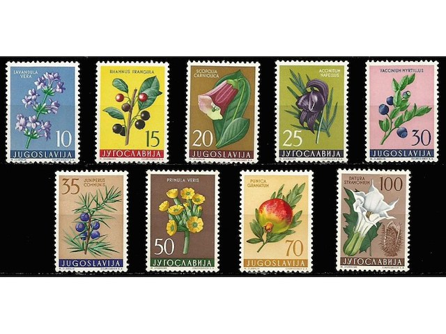 TREĆA FLORA 1959
