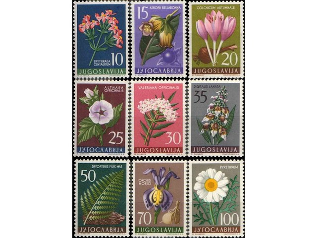 DRUGA FLORA 1957