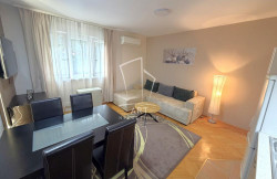 Namešten i renoviran 2.0 stan, 42m2 ID#15287