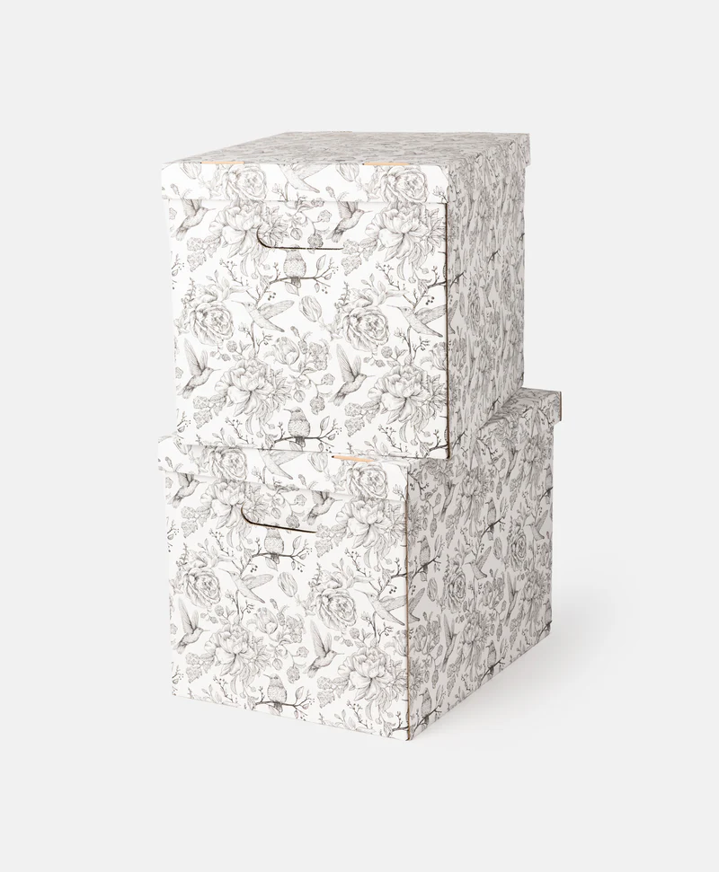 Set kartonskih kutija 2-pack