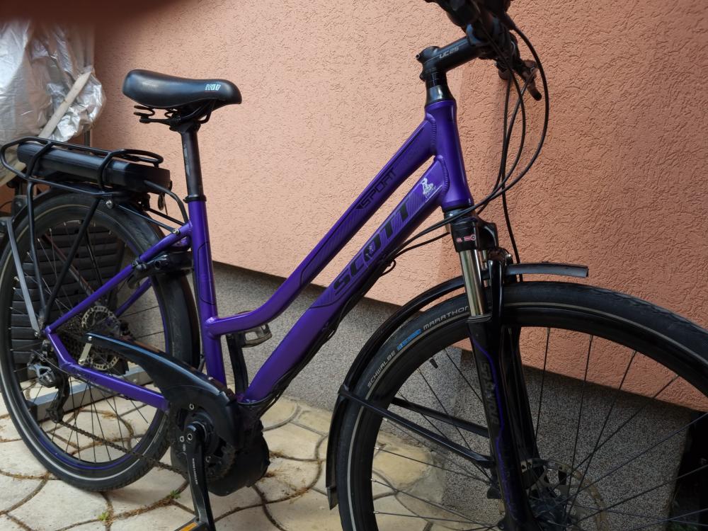 Scott sport