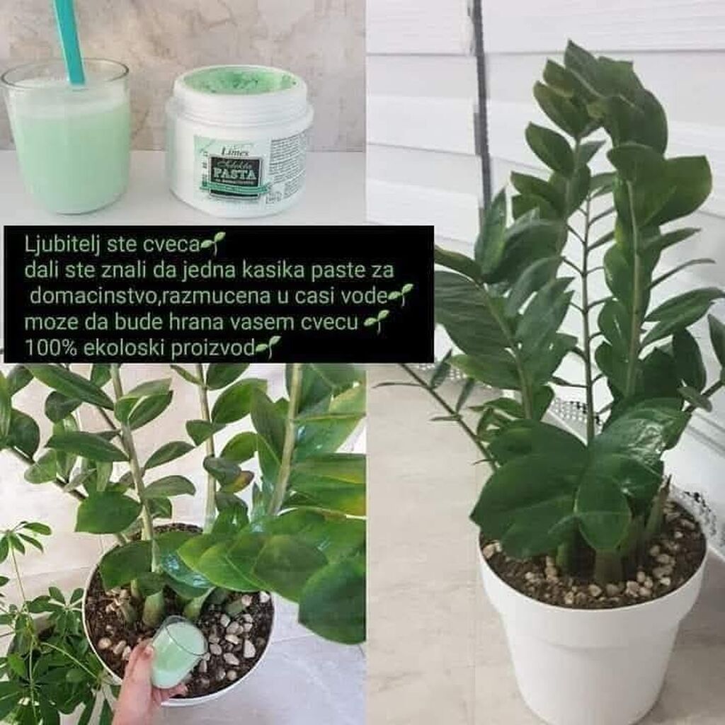   Pasta za domacinstvo   Jedna kafena kasicica u 200ml vode razmutiti i