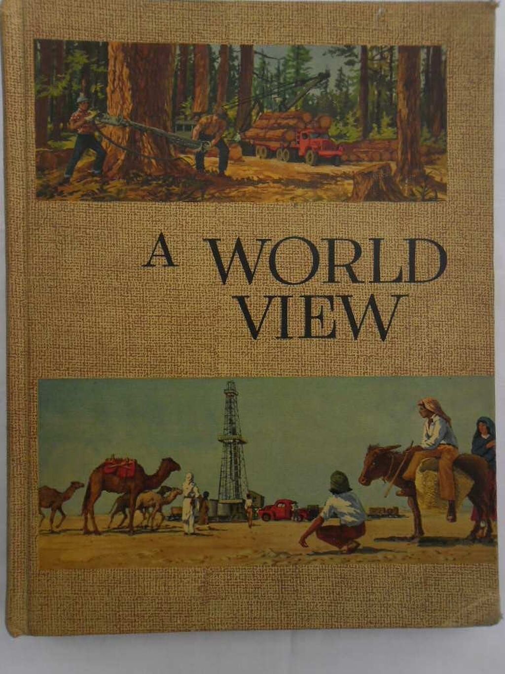 Knjiga:A World View Man in his World,eng.Шта је поглед на свет? Поглед
