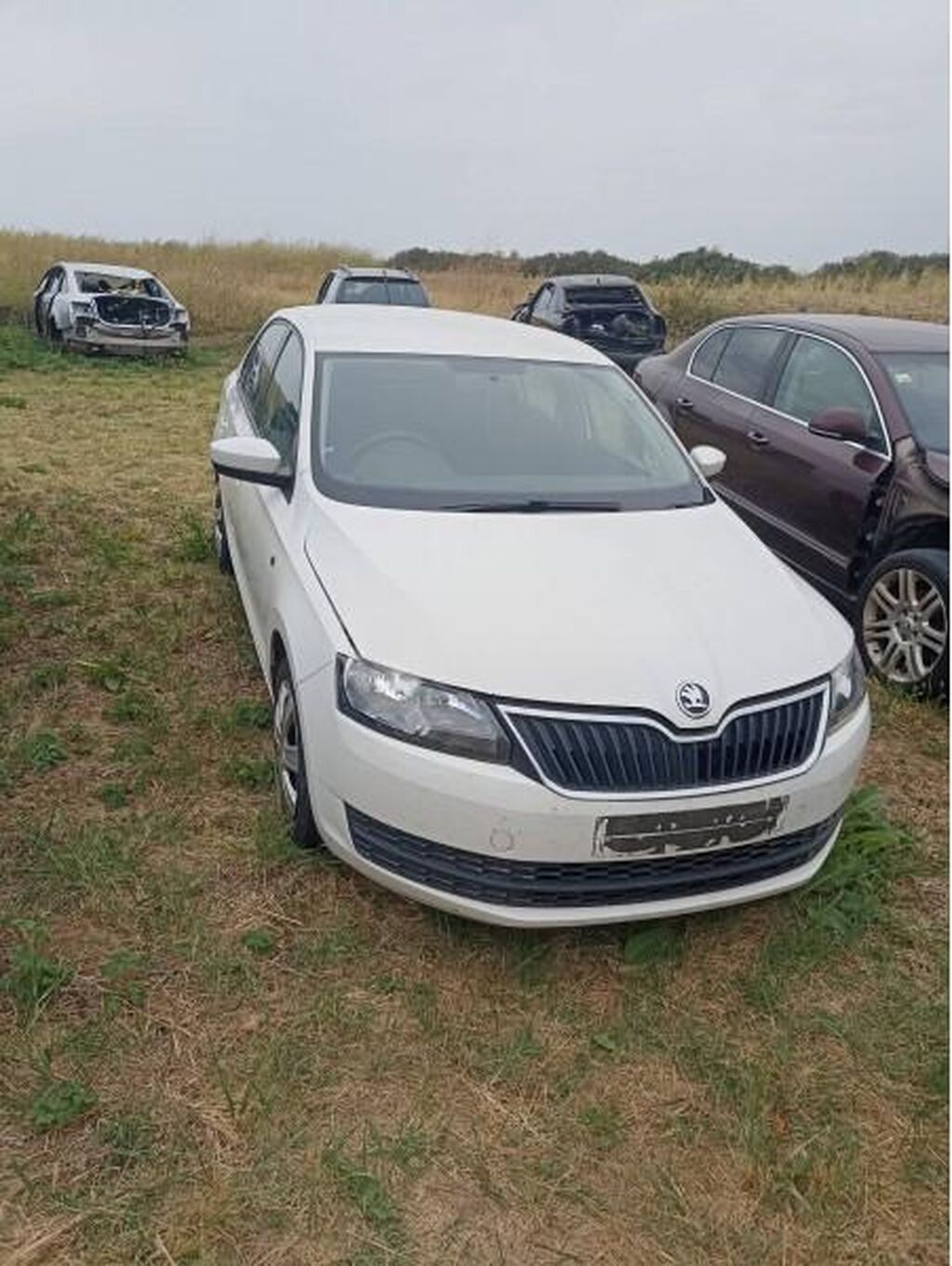 PUMPE DIZNE REIL ITD ZA ŠKODA RAPID OD 2013. DO 2019. GOD. | SKODA