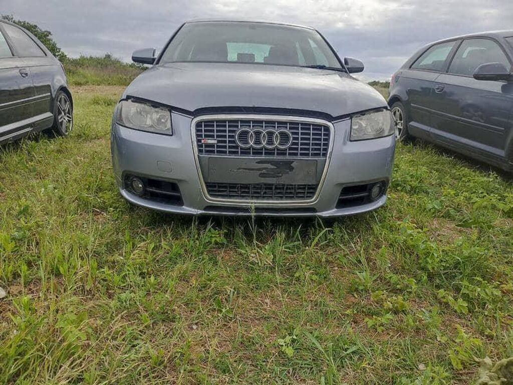 2.0TFSI BWA MOTOR ZA AUDI A3 OD 2003. DO 2008. GOD. | AUDI A3 8P