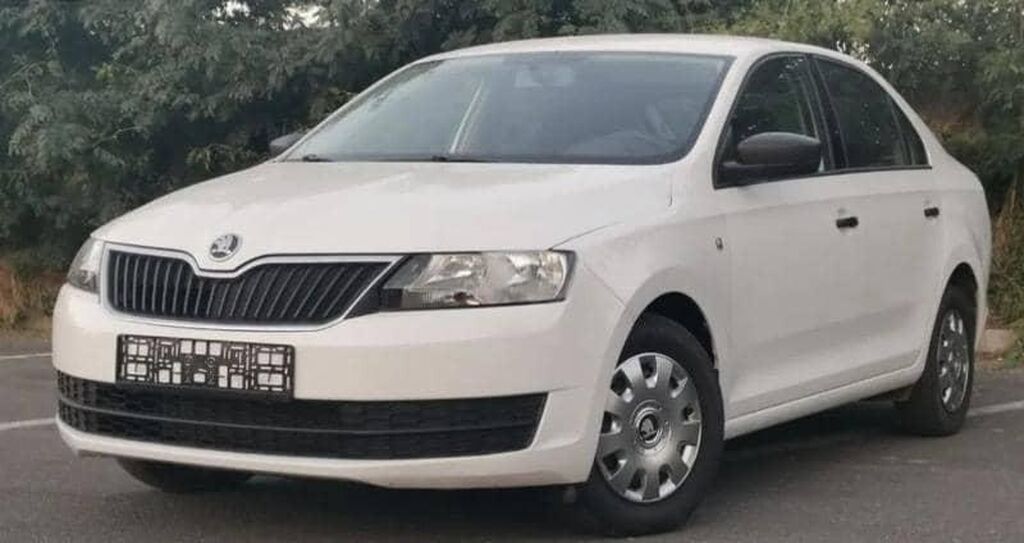 VRATA KRILA HAUBE ITD ZA ŠKODA RAPID OD 2012. DO 2018. GOD. | SKODA