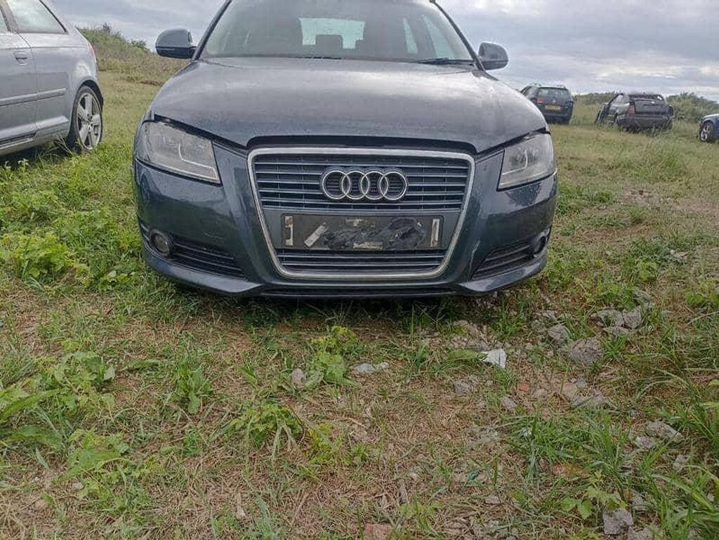 1.6TDI PRSA HALDNJAKVENT.ITD ZA AUDI A3 OD 2008. DO 2012. GOD. |
