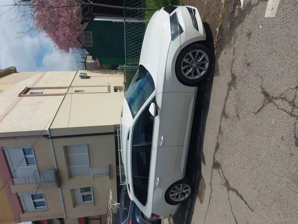 KARAVAN BRAVICE HAUBE ZA ŠKODA SUPERB OD 2015. DO 2019. GOD. | SKODA