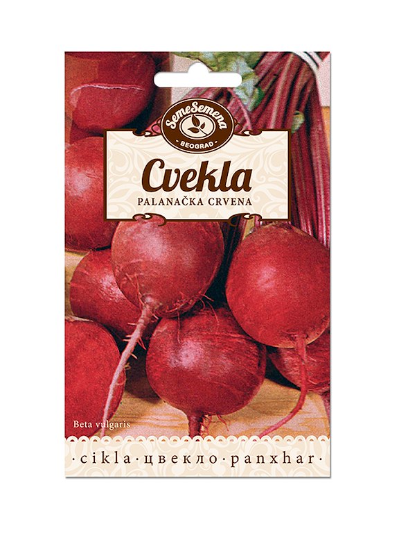 Cvekla Palanačka crvena