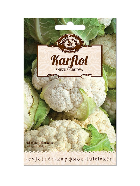 Karfiol Snežna grudva