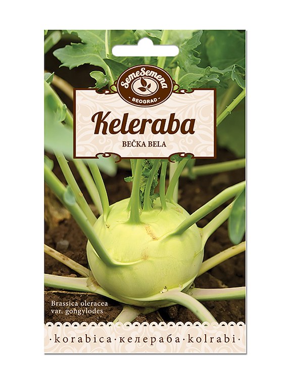 Keleraba Bečka bela