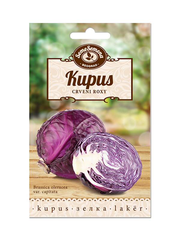 Kupus crveni Roxy