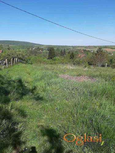 Plac 6.235 m² u Irigu kod Novog Hopova – Asfaltni prilaz, odlična lokacija