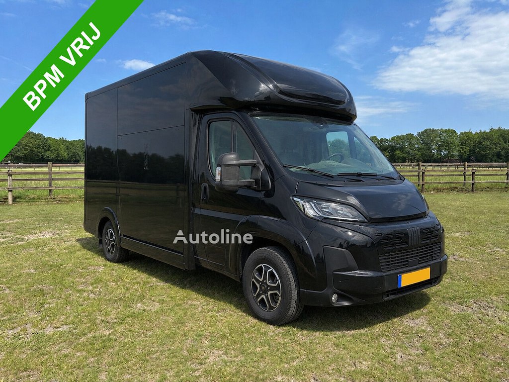Fiat Ducato 3.65T C1-Rijbewijs 2-paards paardenvrachtwagen vozilo za prevoz konja