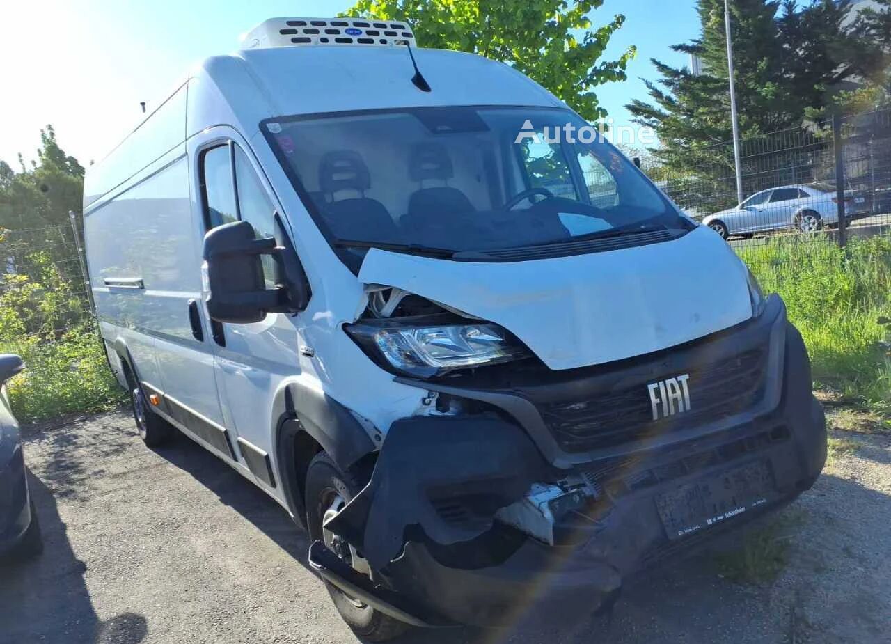 Fiat Ducato minibus hladnjača