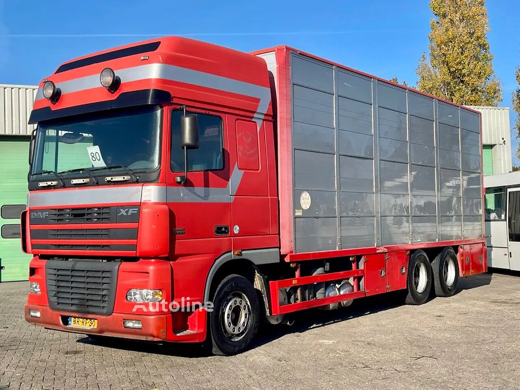DAF XF 95.430 BERDEX 3 decks. Water, fans, Scales! Excellent conditi kamion za prevoz stoke