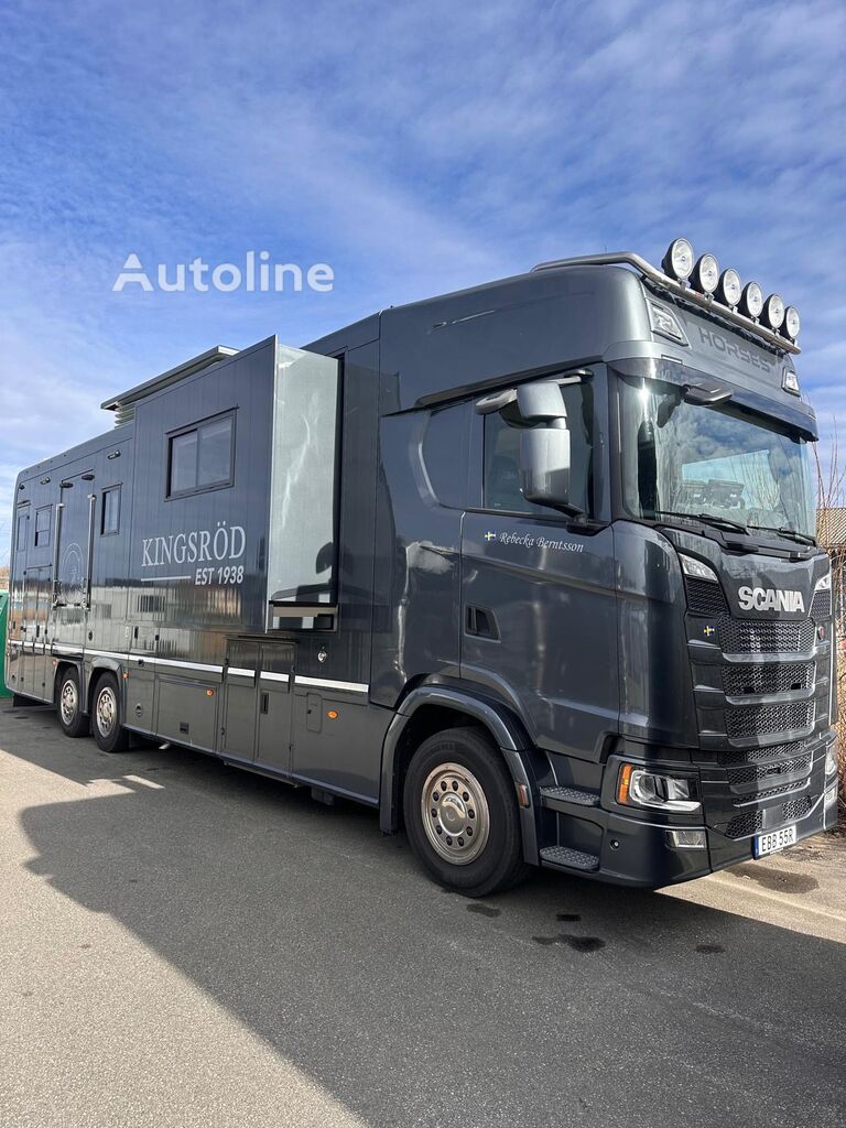 Scania S500 kamion za prevoz konja