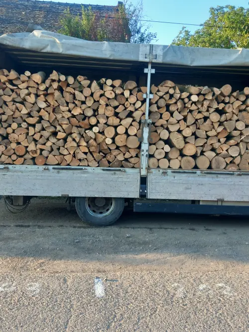 Ogrevno drvo svih vrsta
