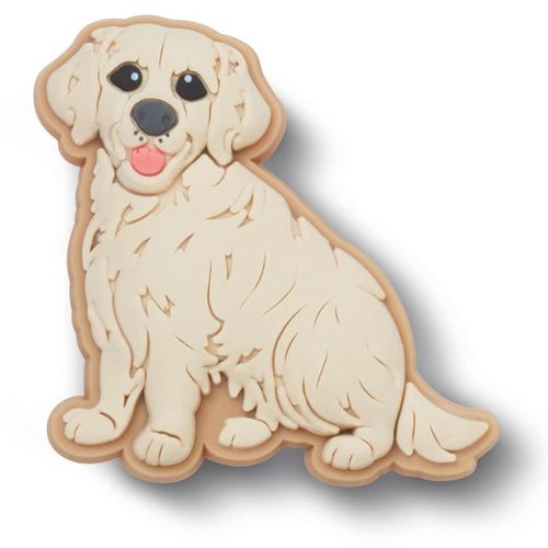 Crocs ukras Golden Retriever puppy