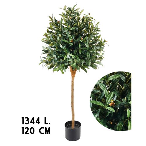 Lilium stablo masline 1344 lista 120 cm