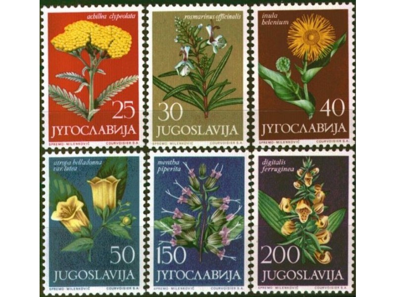 FLORA 1965