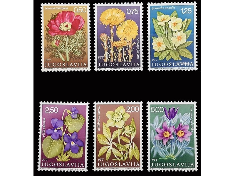 FLORA 1969