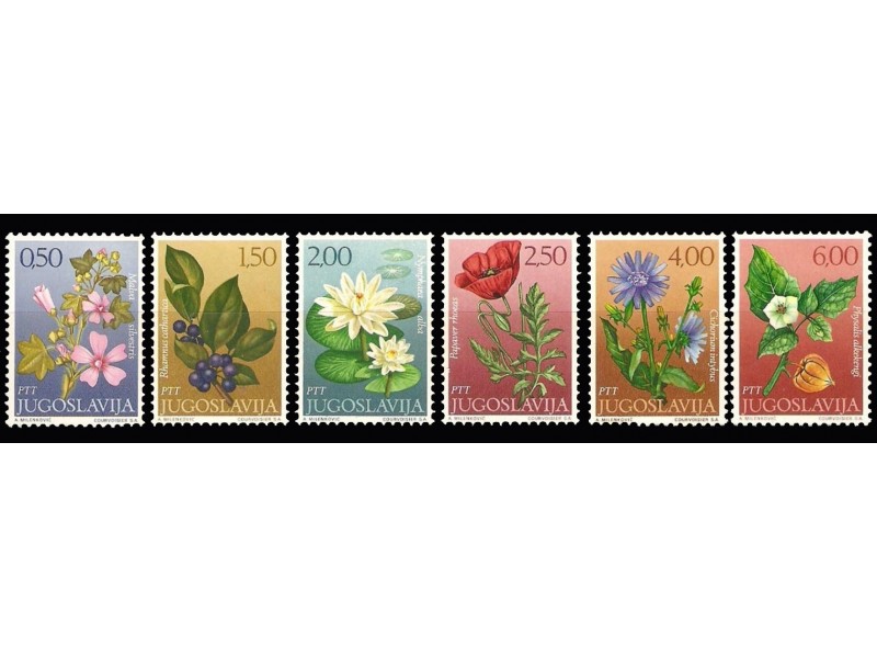FLORA 1971
