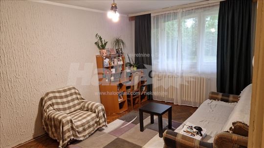 Izdavanje stana u Šumicama