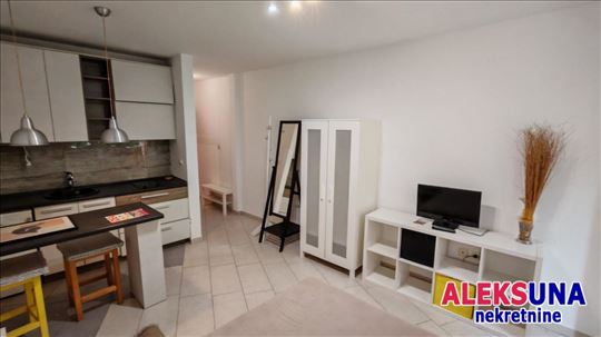 Novi Sad, Kej, Stan, 0.5, 24,00m2