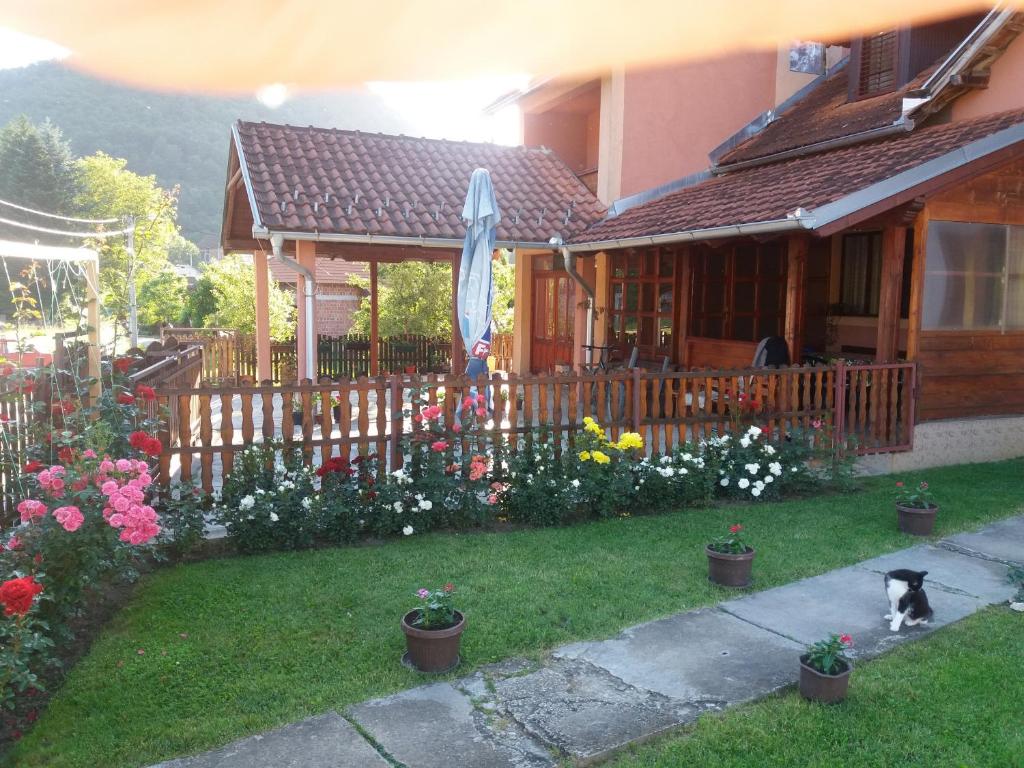 Guesthouse Peace