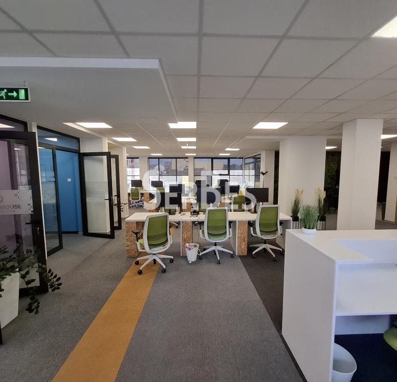 Lux 5.0 poslovni prostor 204m2 u Centru + parking ID#1762.