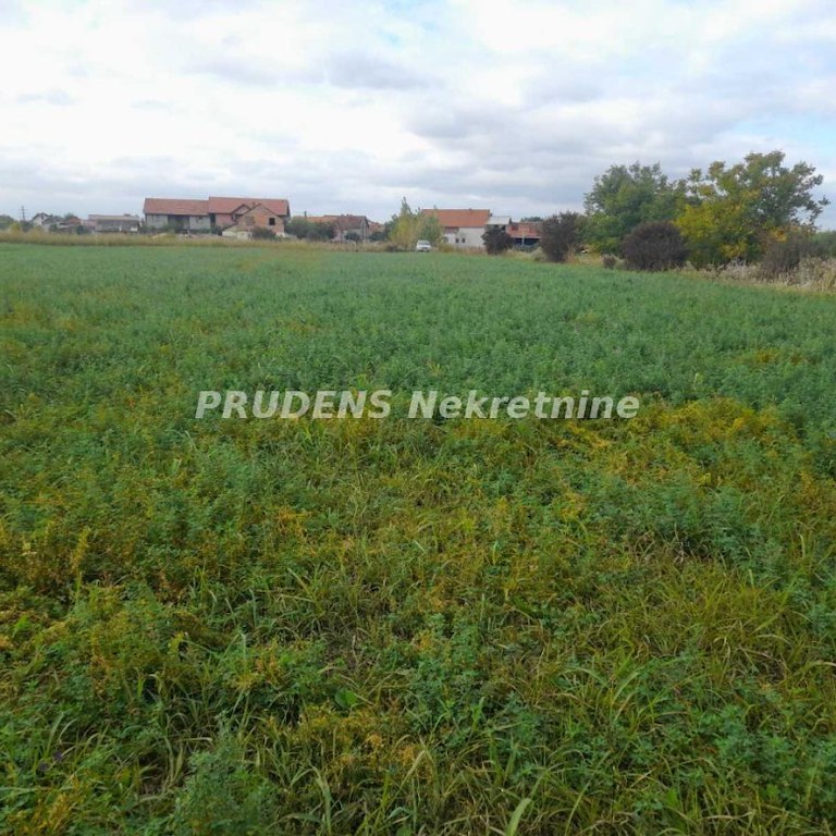 Plac – Beograd, Surčin Dobanovci – ID 942.