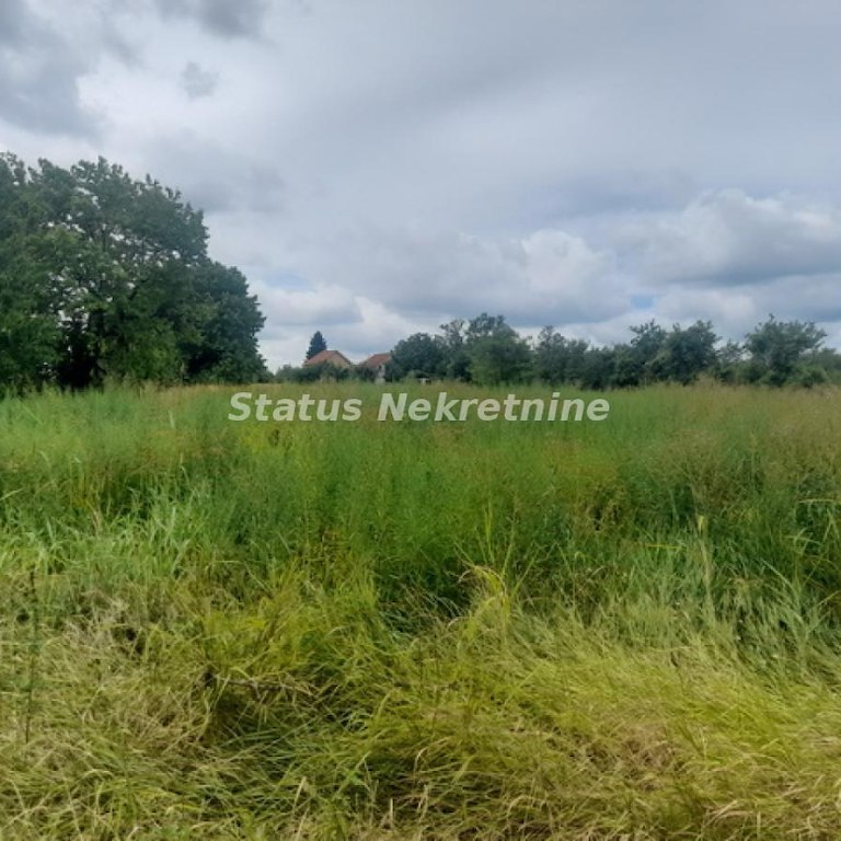 Plac – Inđija, Okolina – ID 21906.