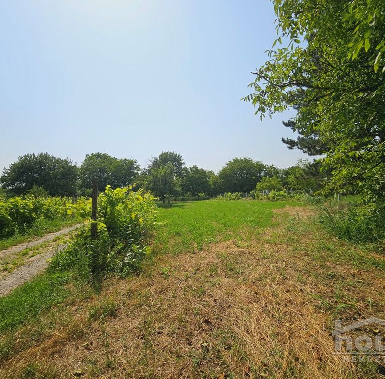 Plac – Novi Sad, Bačko Gradište – ID 7081002.
