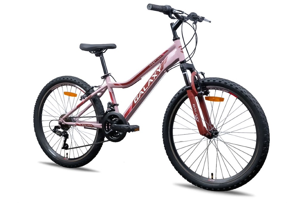 Galaxy festina fs 24"/18