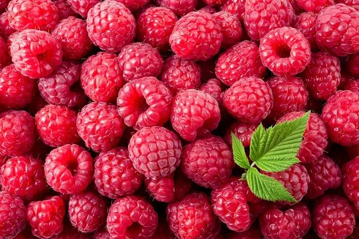 Organska Malina 200g