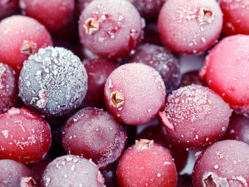 Divlja Brusnica Zamrznuta Plavo 250g