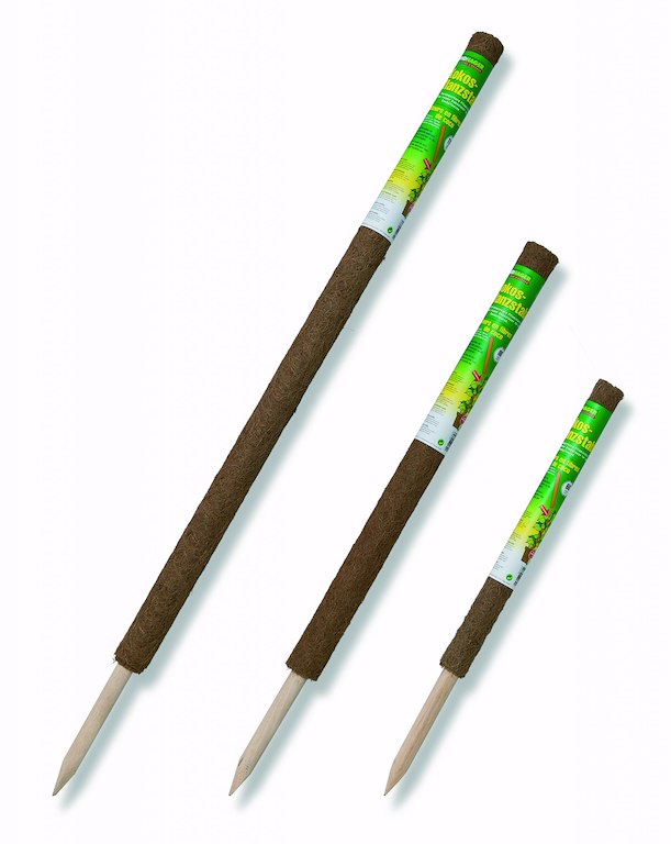 Windhager Potporna šipka kokos 80 cm 05662