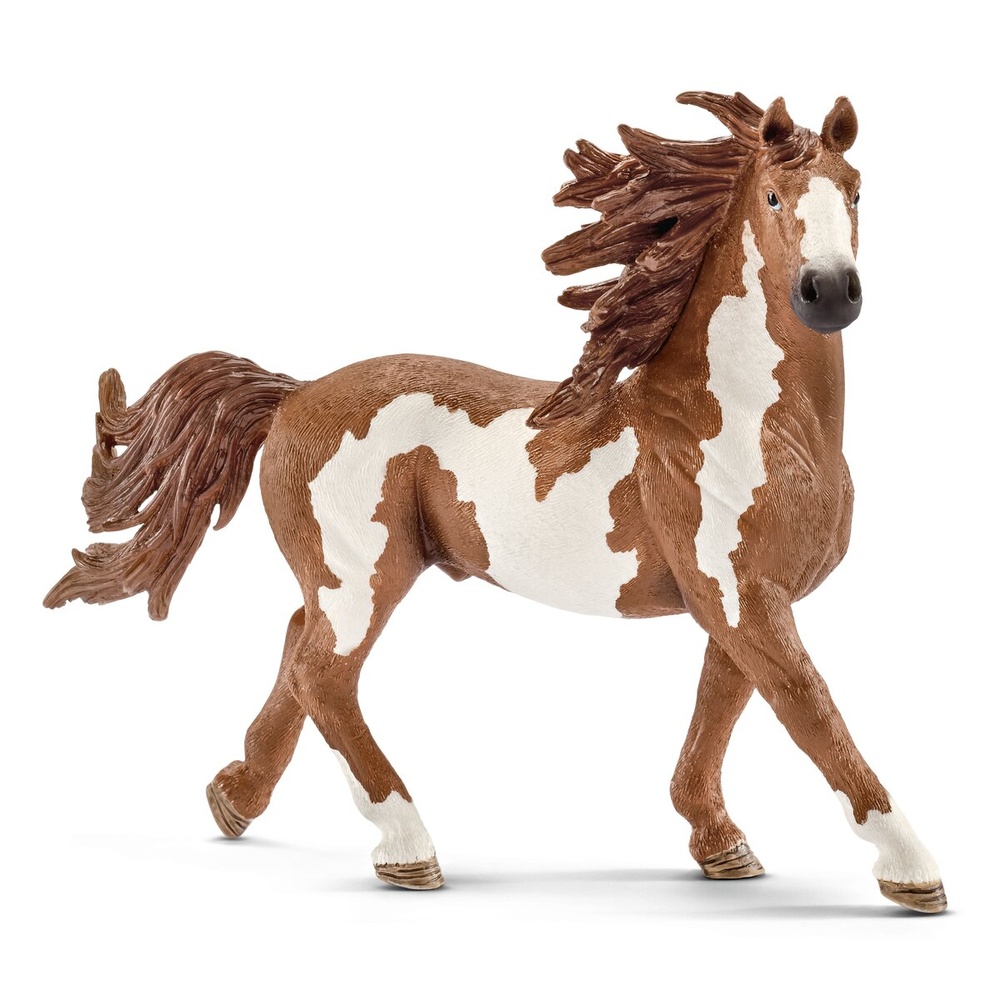 Schleich – Pinto pastuv
