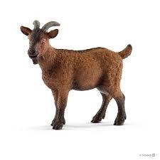 Schleich – Koza
