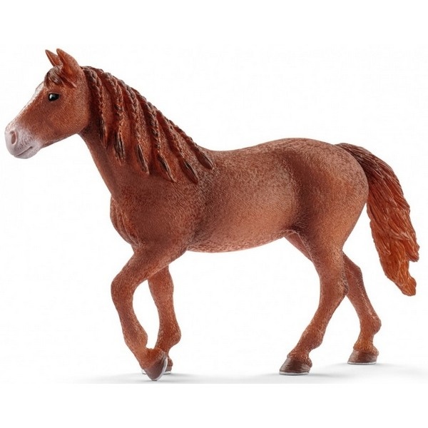 Schleich – Morgan konj kobila