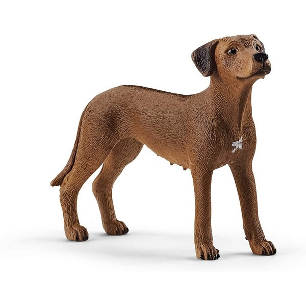 Schleich – Pas, Rodezijski ridzbek
