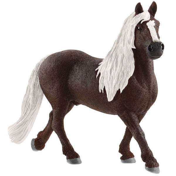 Schleich – Pastuv, Black forest