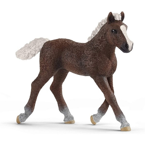 Schleich – ždrebe, Black forest