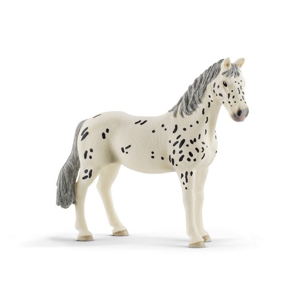 Schleich – Knabstupper pastuv