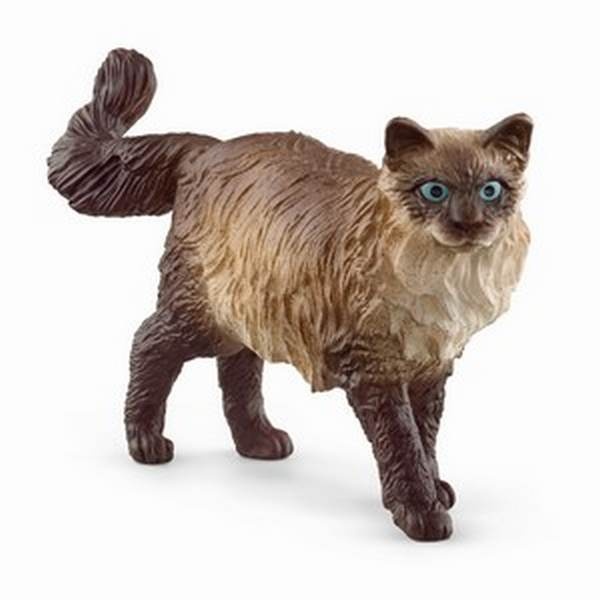 Schleich – Ragdol macka