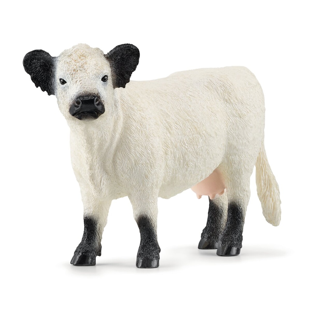 Schleich – Krava Galloway