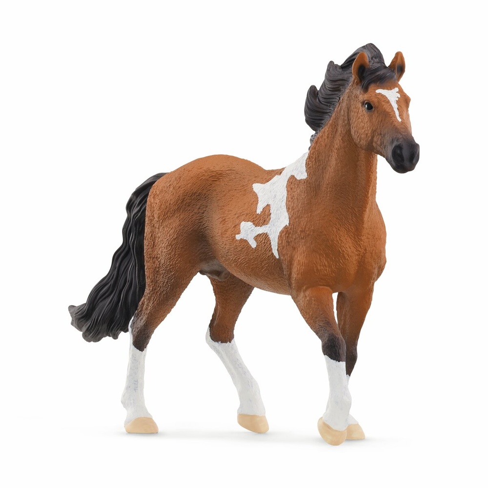 Schleich – Mangalarga pastuv