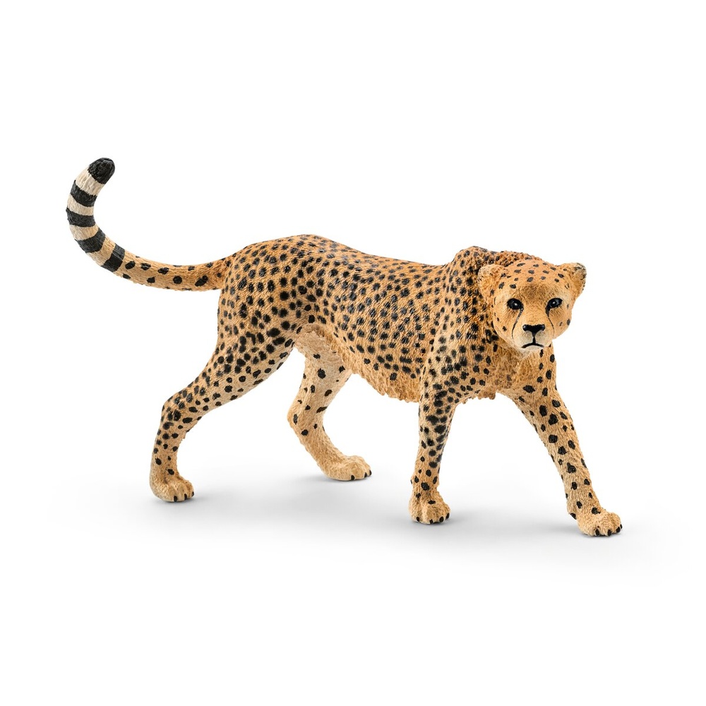 Schleich – Gepard zenka